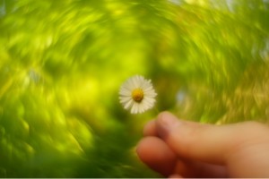 Extremely Swirly Bokeh - Short Tutorial | Viktor's photo blog | Verybiglobo photo